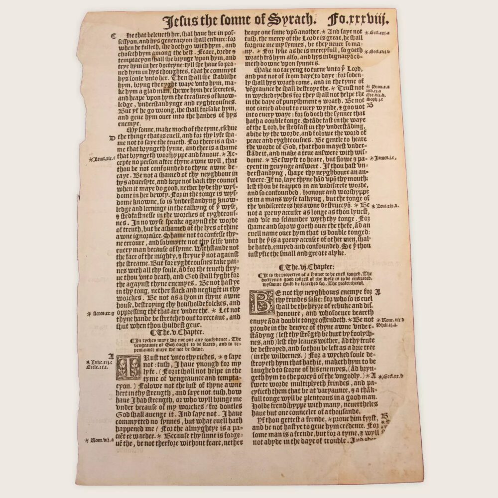 Ancient Bible Leaves • TheBibleMuseum.com