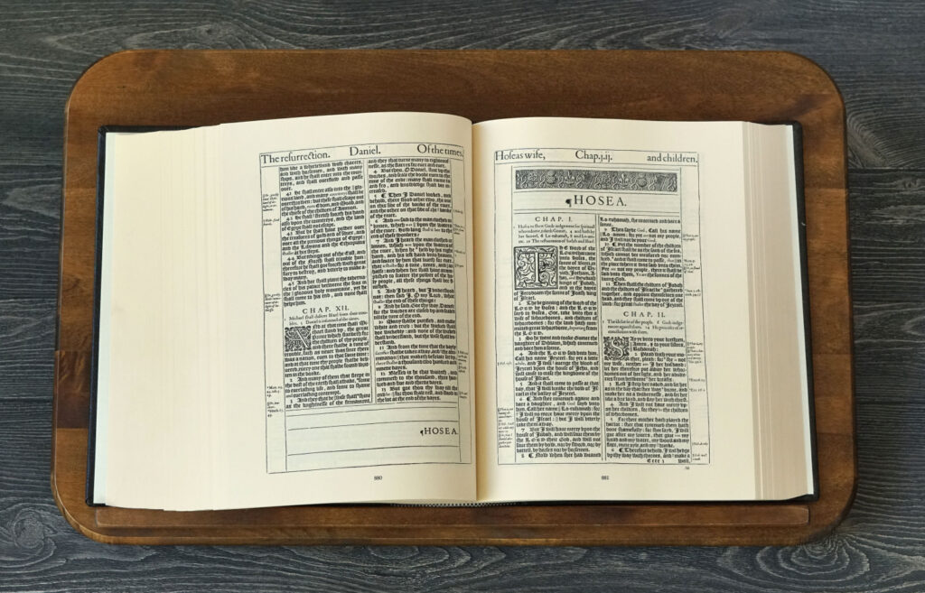 1611 King James Bible: Synthetic Leather Reference Edition ...