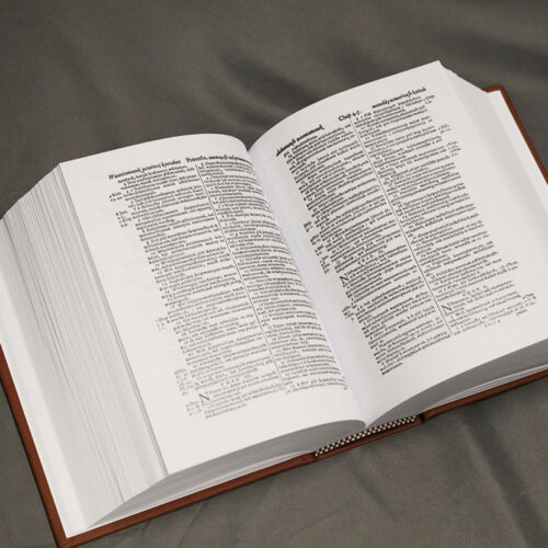 1663 John Eliot’s Algonquin Bible - The First Bible Printed in America ...